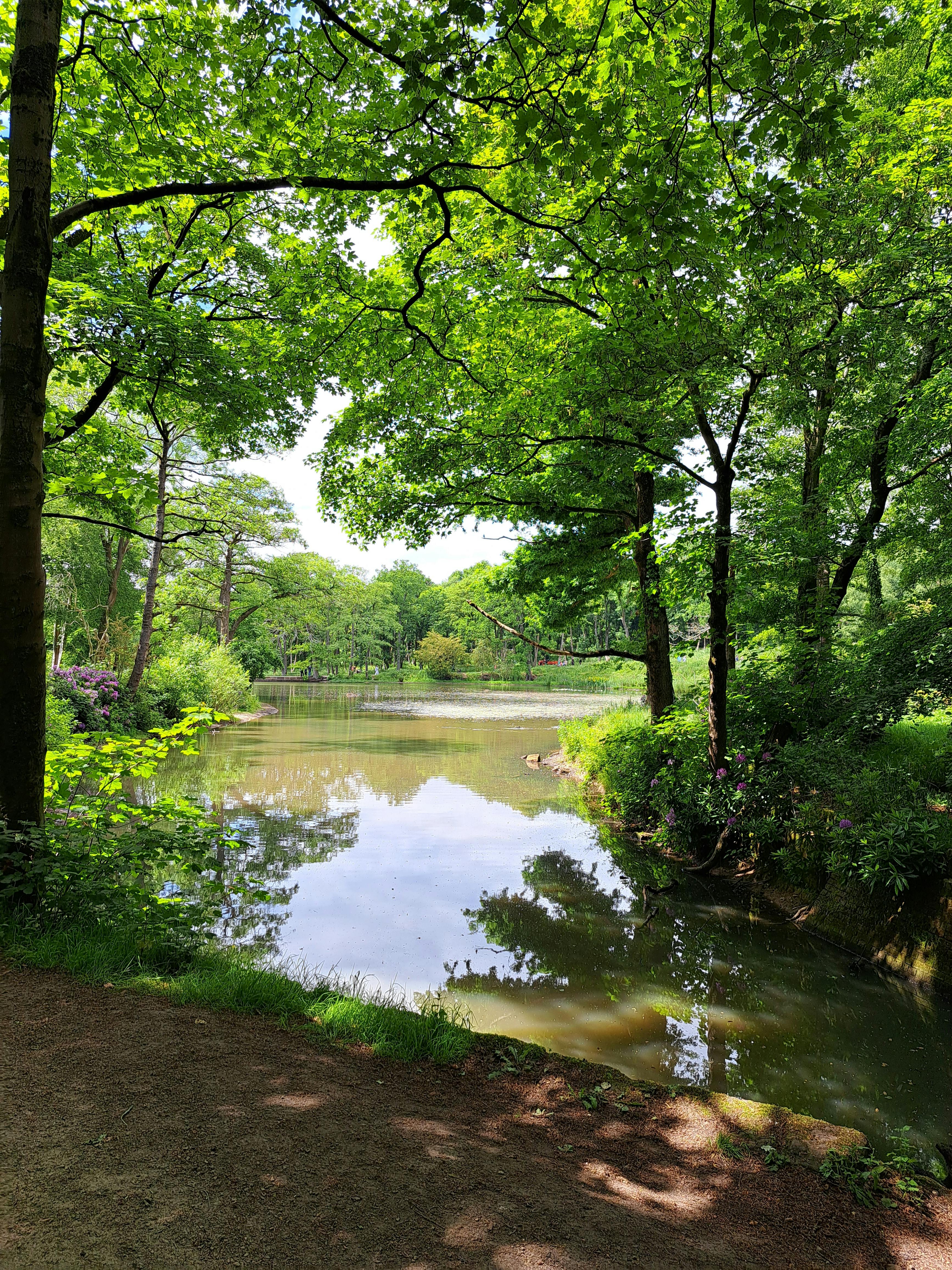 RHS Garden Bridgewater, Manchester | Book Tickets, Tours & More
