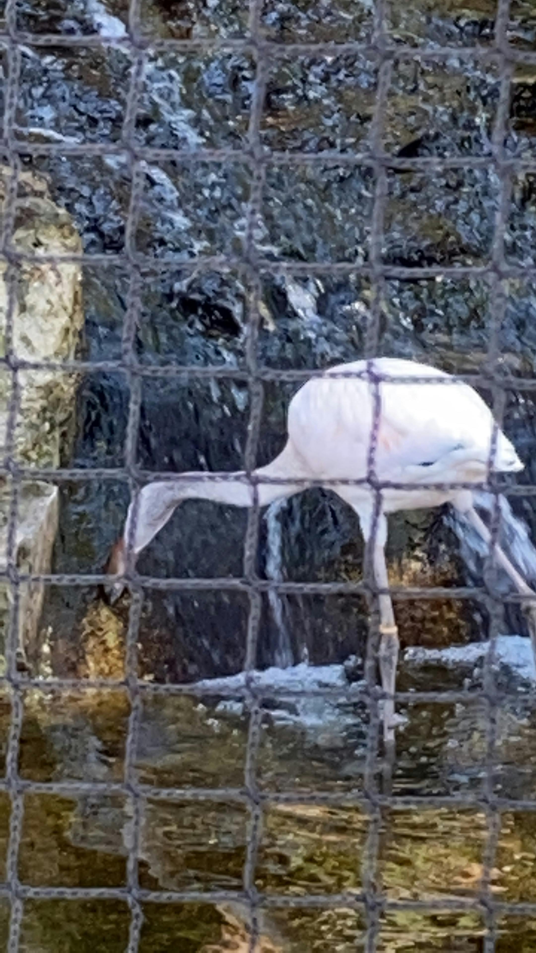 Biglietti Zoomarine, Roma | Pomezia