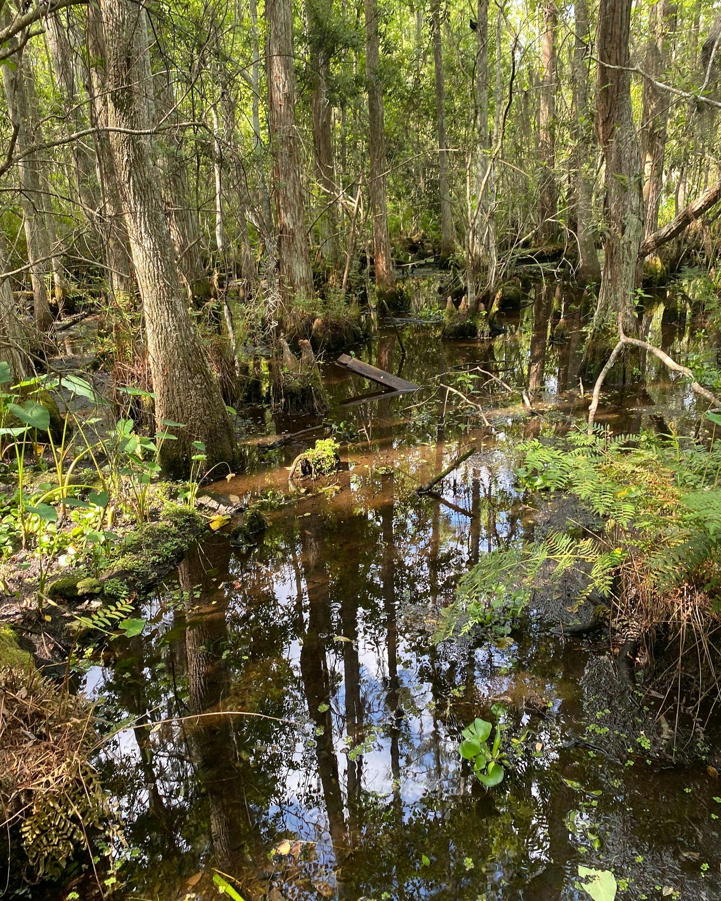 Gatorland Orlando General Admission: Fast Track Ticket