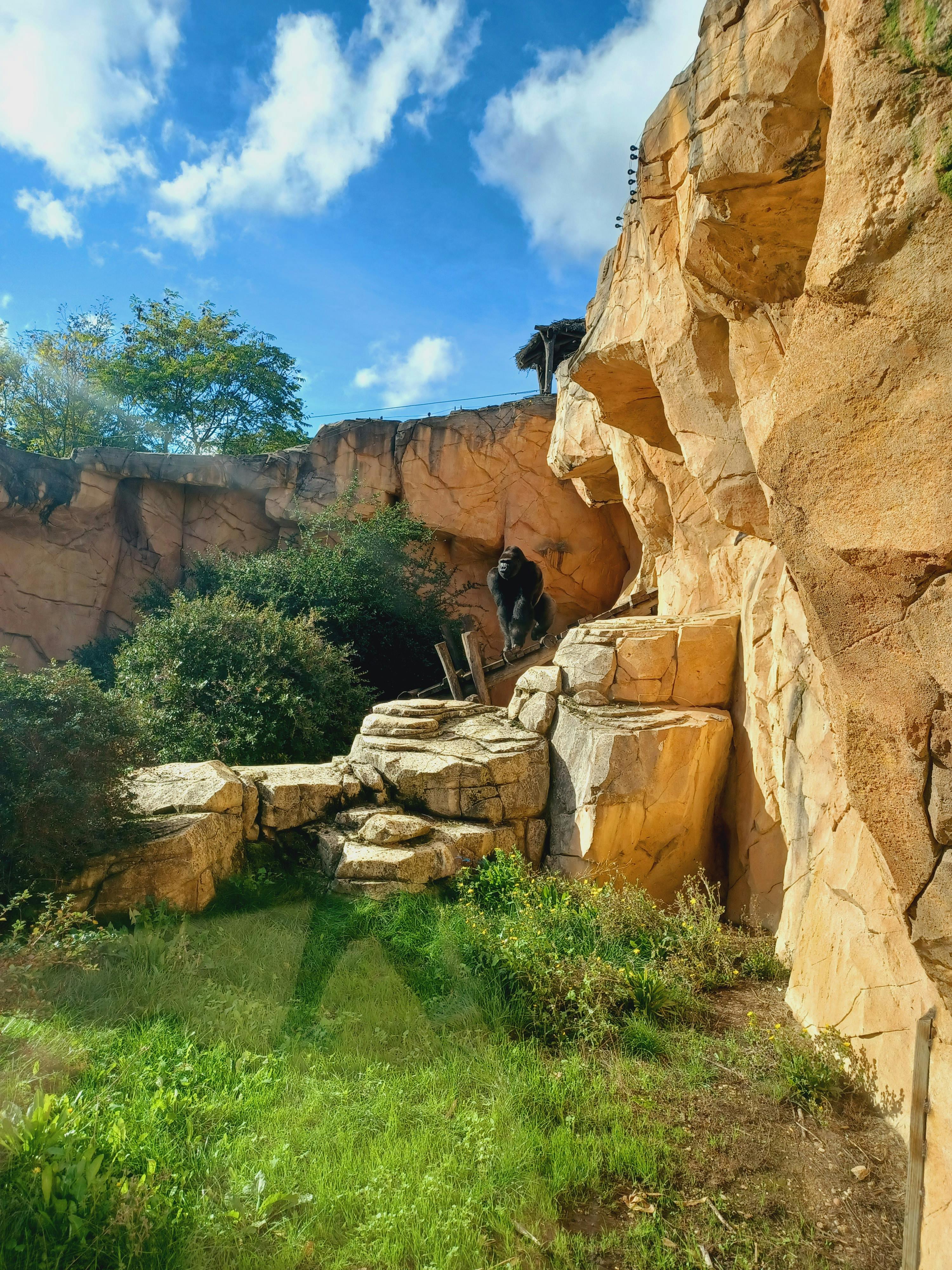 Amnéville Zoo Tickets - Amnéville | Tiqets.com