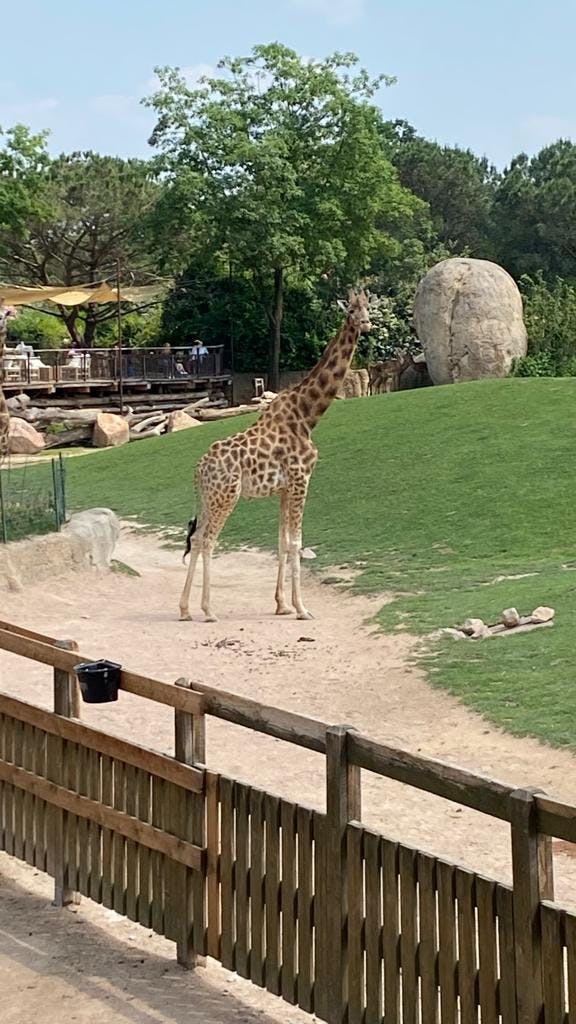 Get tickets: Zoom Torino Animal Kingdom | Tiqets