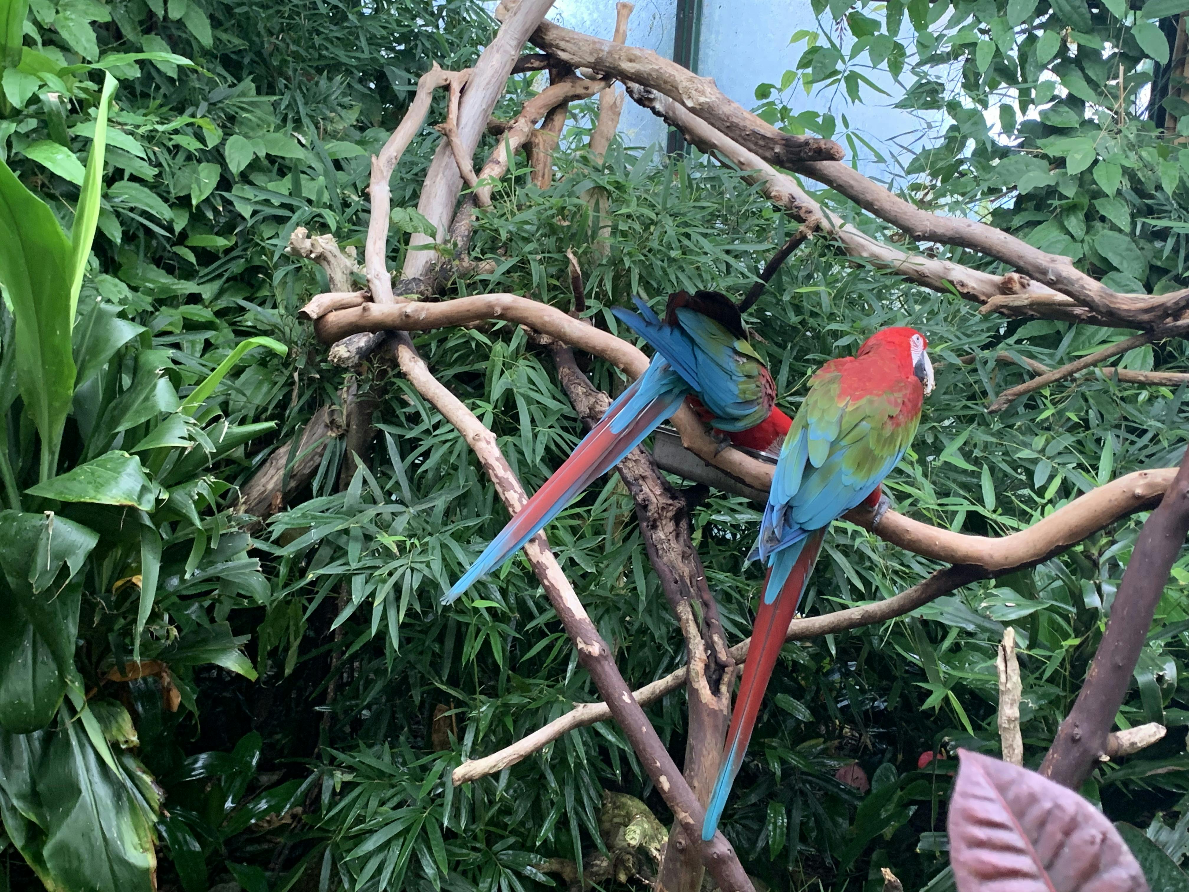 Tickets Victoria Butterfly Gardens - Victoria | Tiqets.com