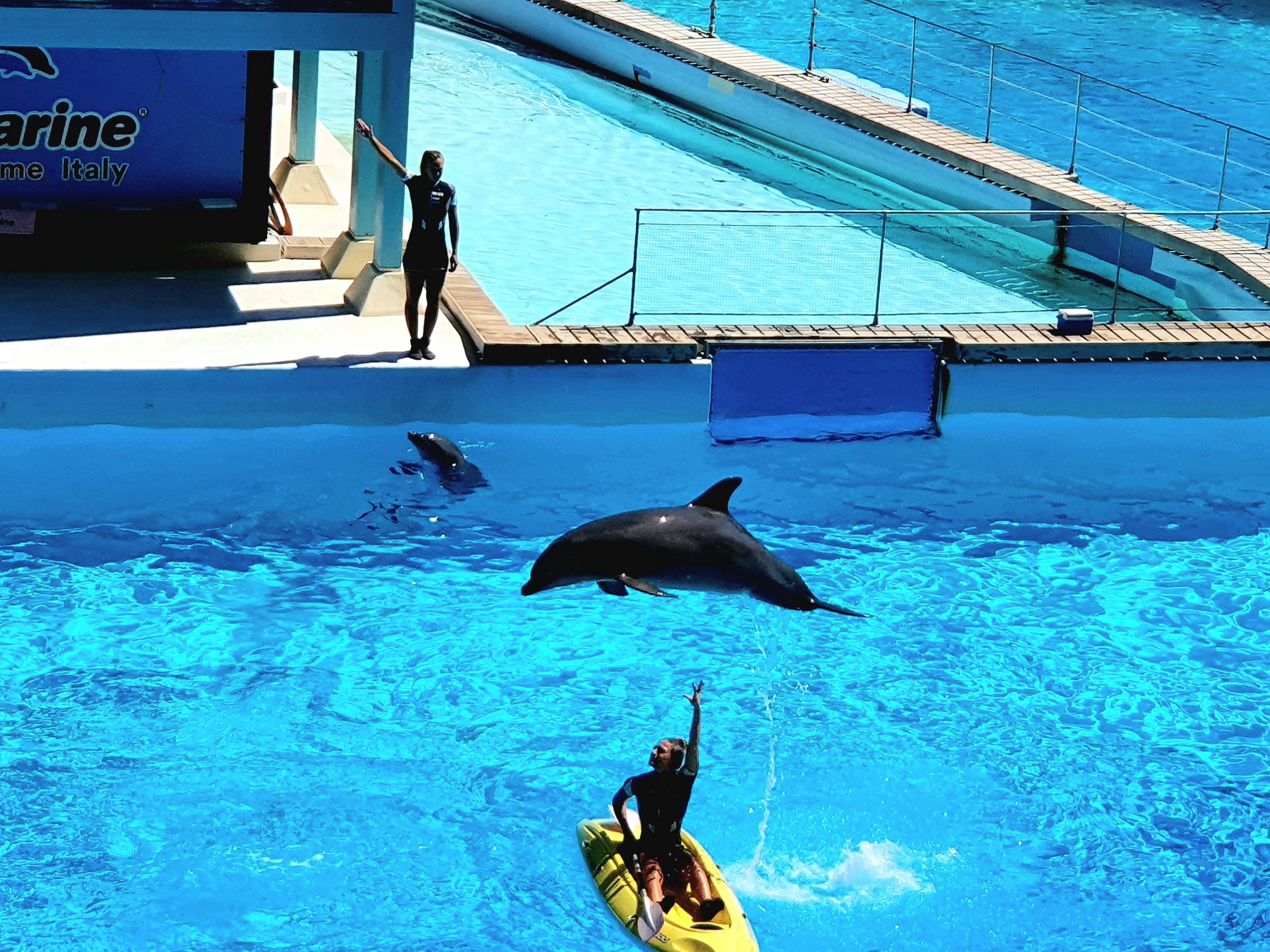 Biglietti Zoomarine, Roma | Pomezia