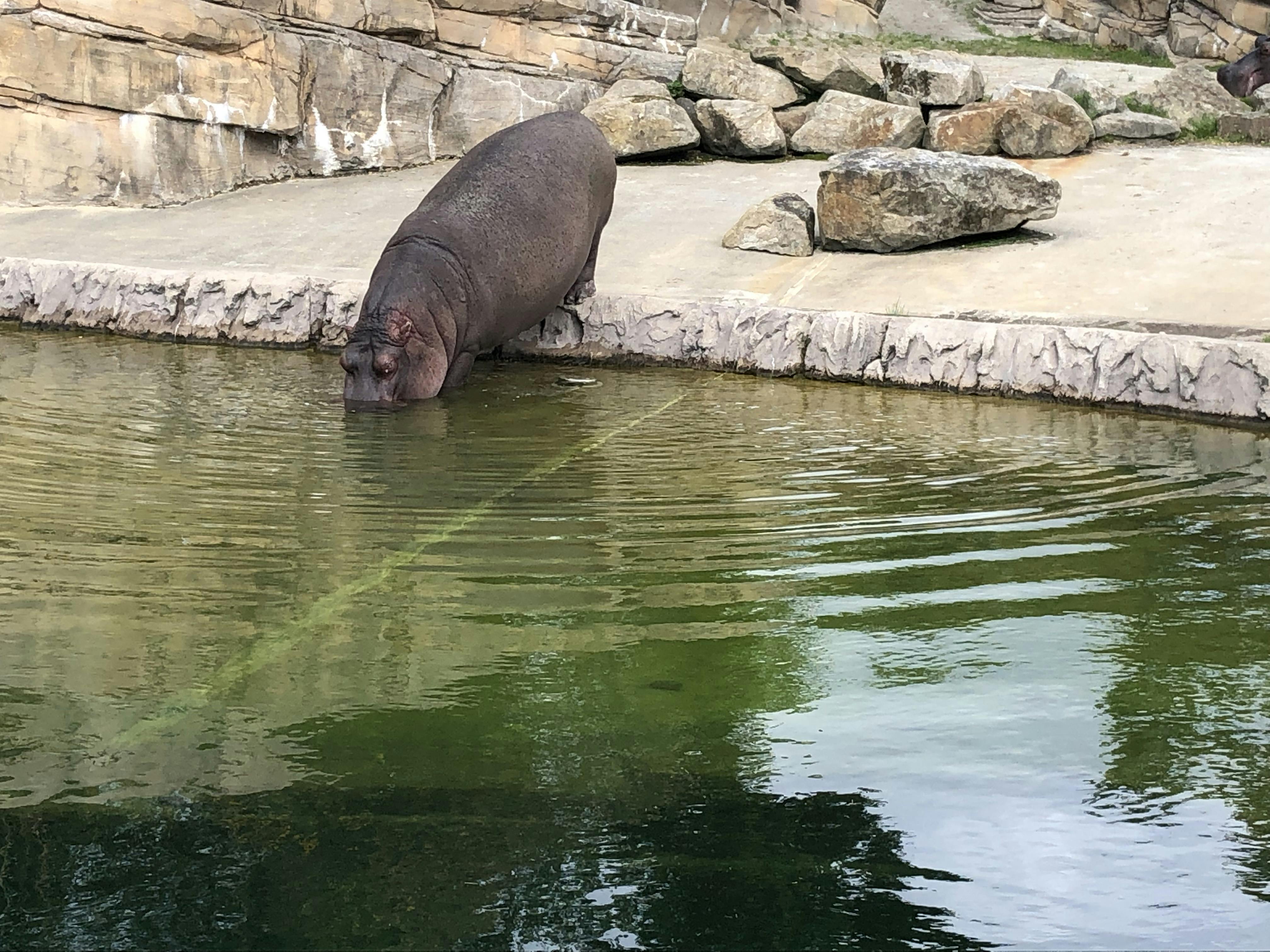 WILDLANDS tickets | Emmen