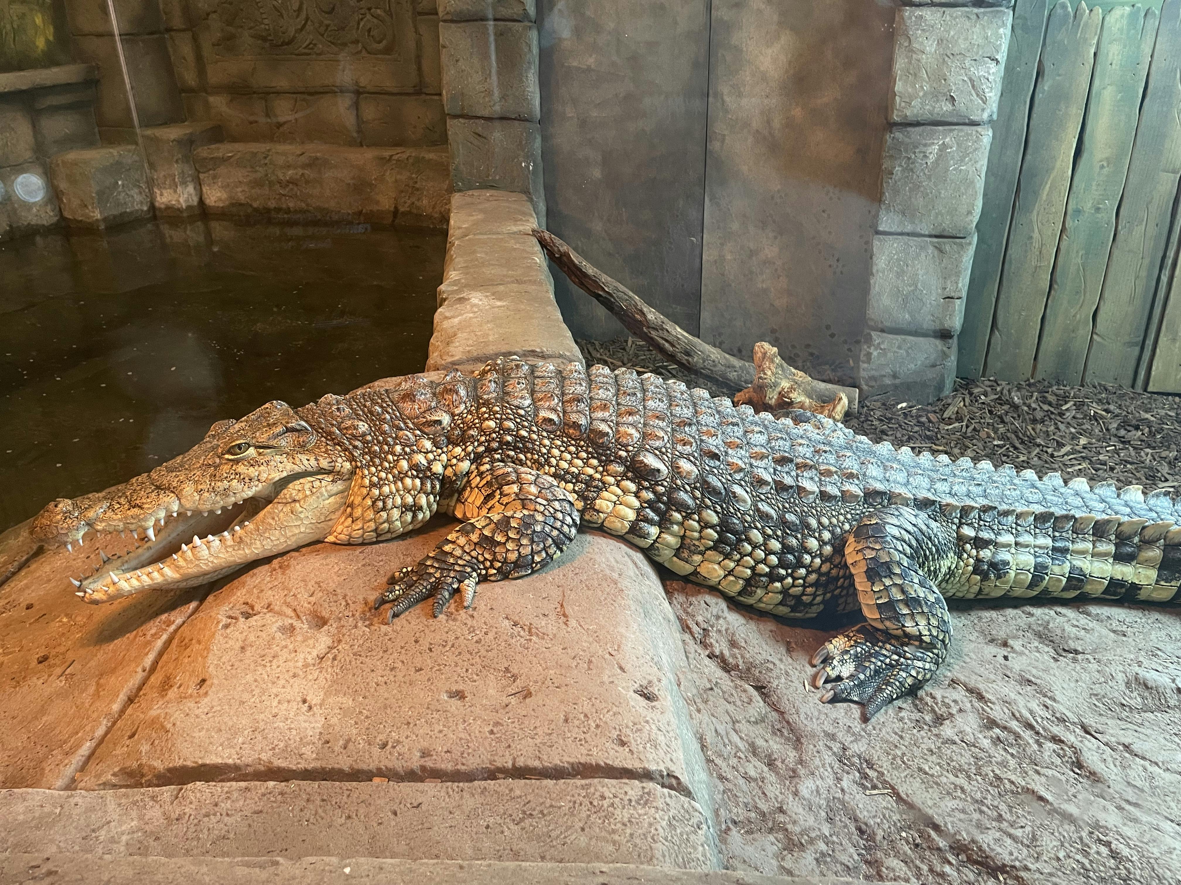 Exploris Aquarium Tickets - Portaferry | Tiqets.com