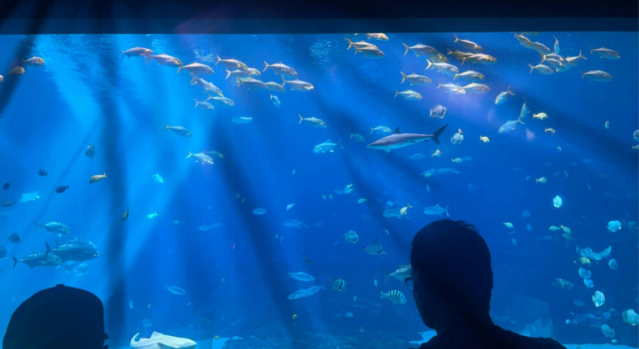 Atlanta Zoo + Aquarium Pass | Tiqets