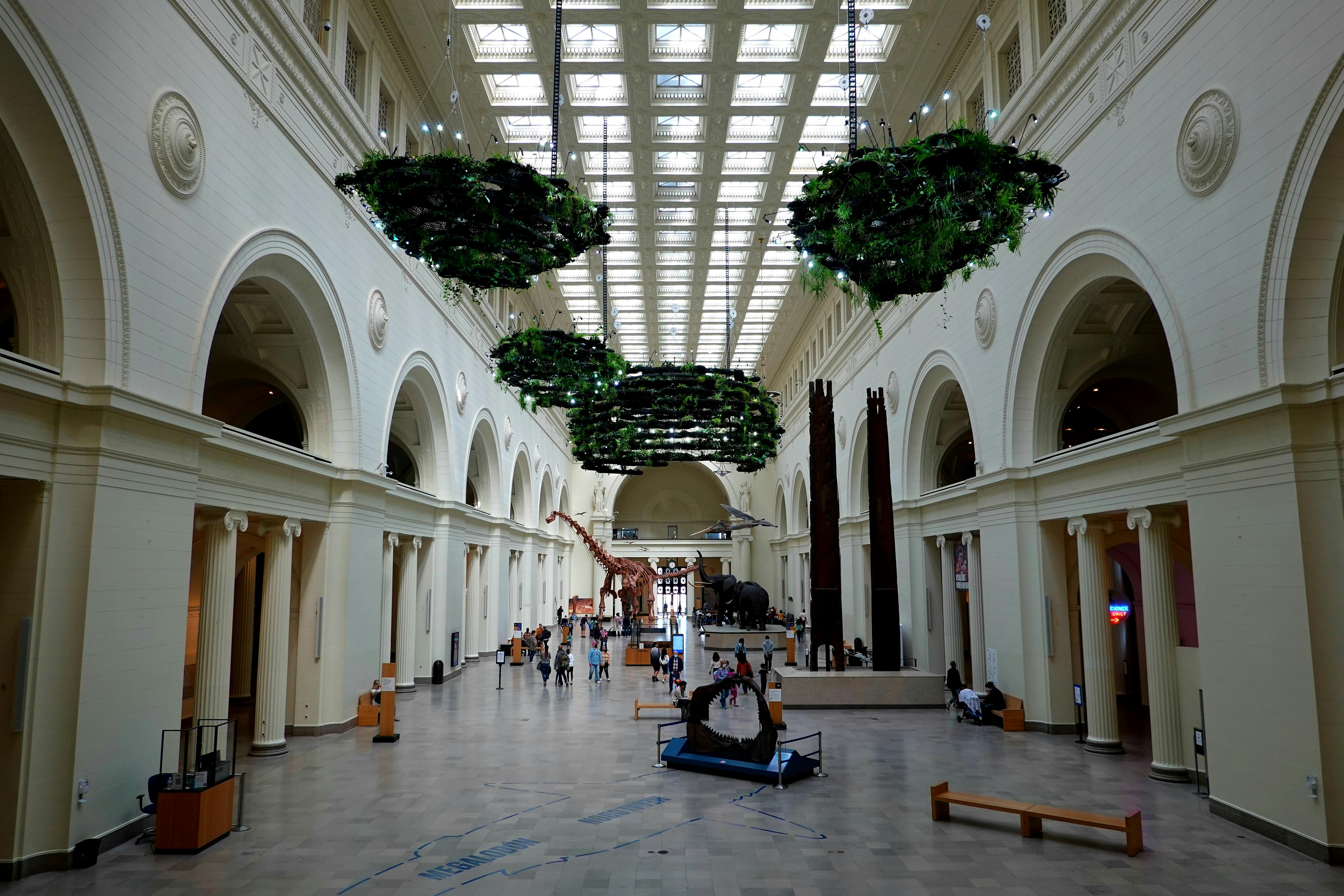 The Field Museum of Natural History Tickets | Tiqets