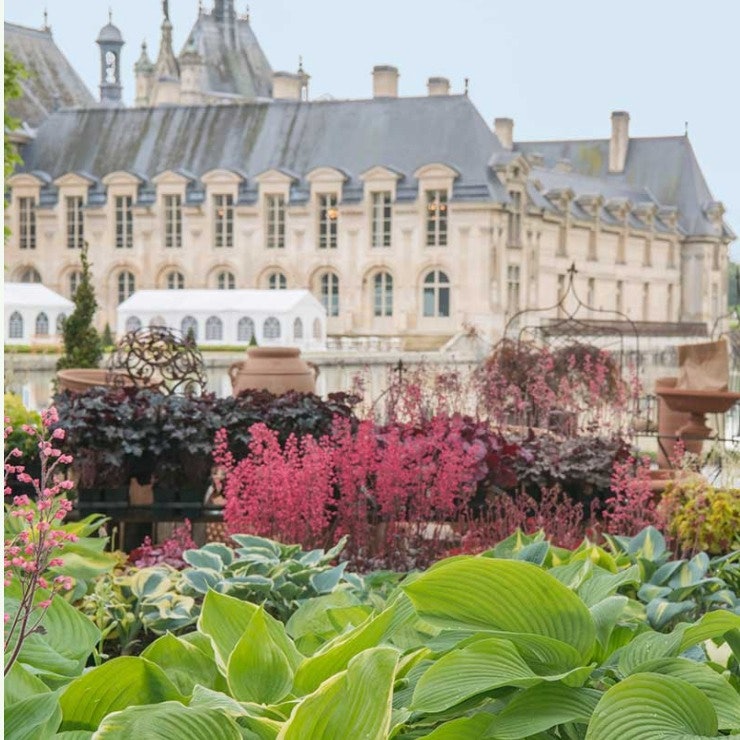 Special Event: Chantilly Plant Day, Château de Chantilly | Tiqets.com