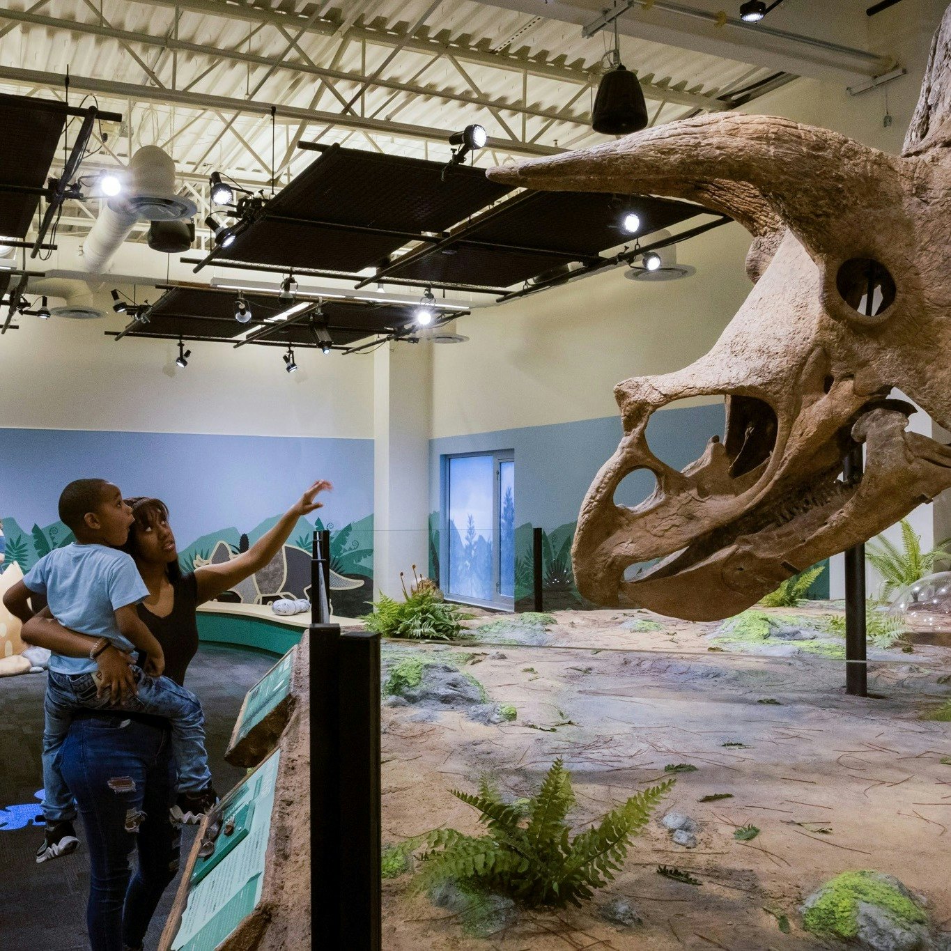 Exhibition: Big John: The Triceratops, Glazer Children's Museum | Tiqets.com
