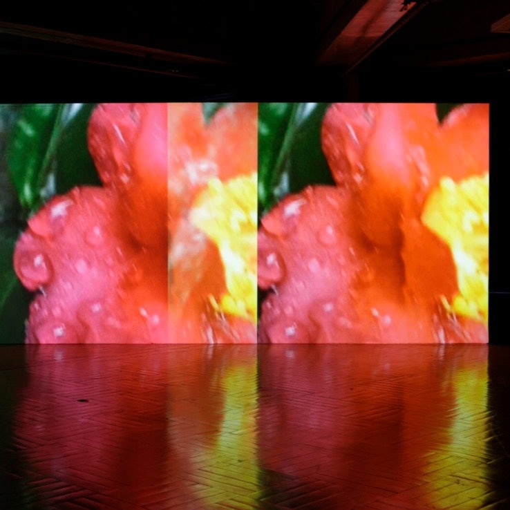 Pipilotti Rist: Supersubjektiv | Zarezerwuj bilety