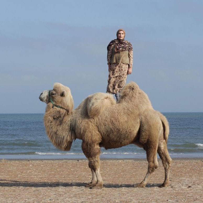 Exhibition: On the Backs of Camels, Weltmuseum | Tiqets.com