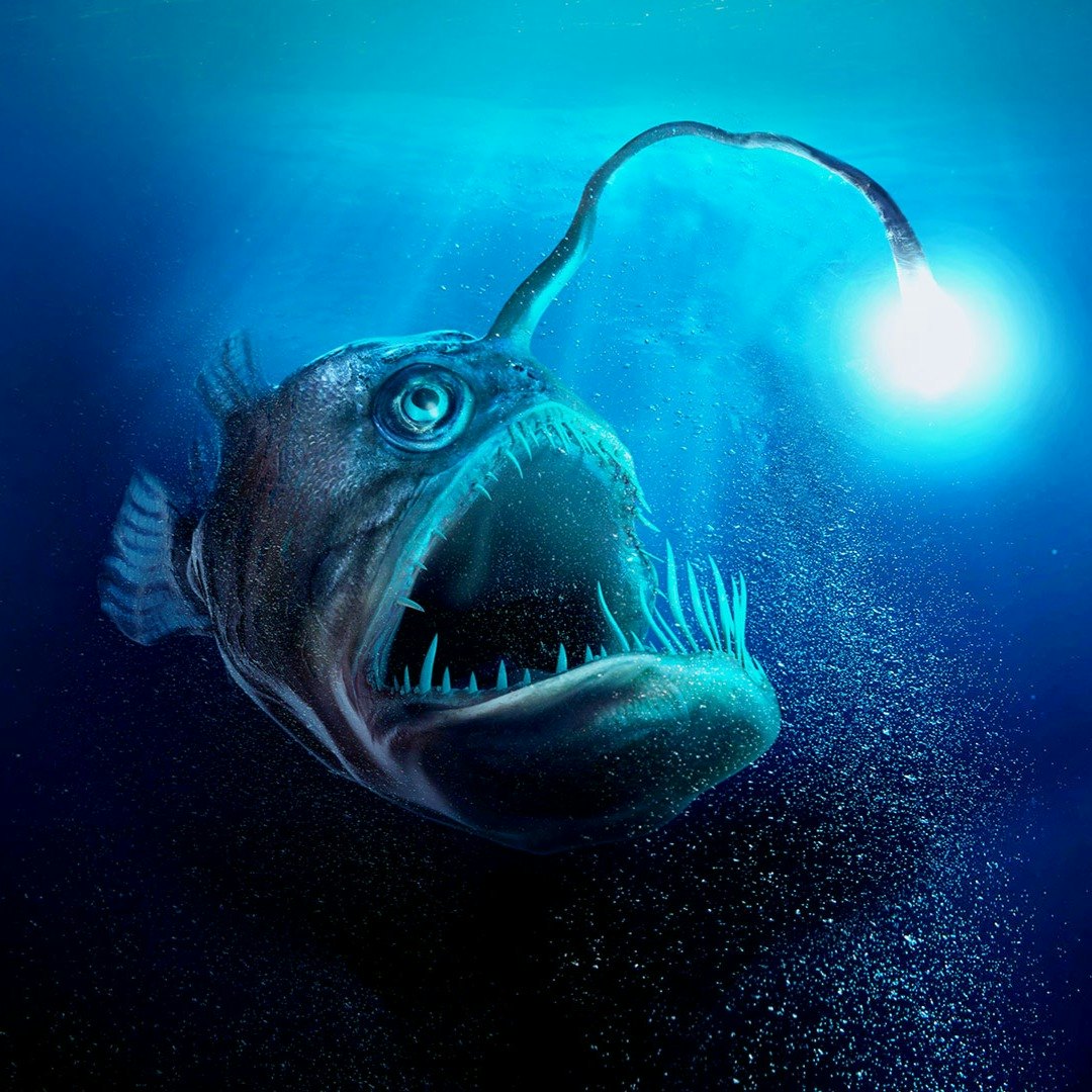 Mostra: Dive Into The Deep, SEA LIFE Melbourne | Tiqets.com