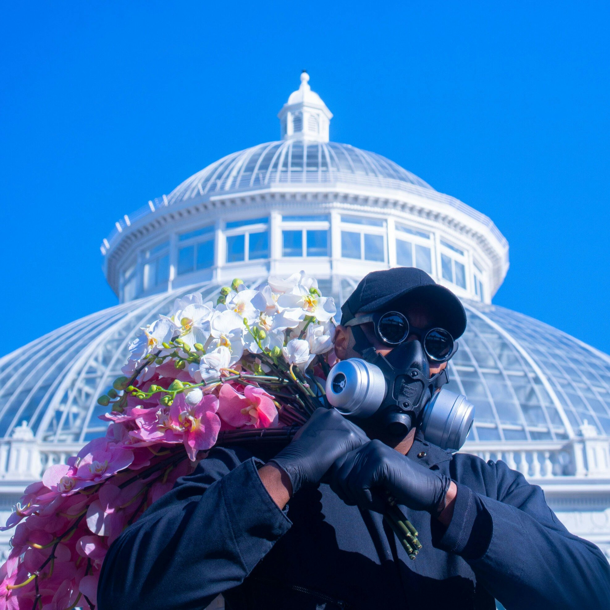 O espetáculo das orquídeas: A selva de betão do Sr. Flower Fantastic ...
